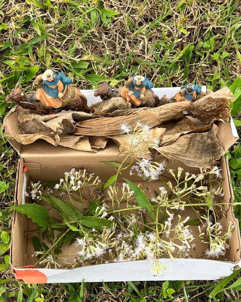 10 Puerto Rican Christmas Traditions That Make the Season Extra Special ...